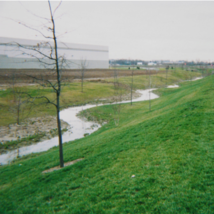 WaterScapes by Design, LLC, Waterfalls, Wetlands, Streams, Wildlife