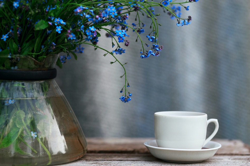 Daughters of Promise | Home