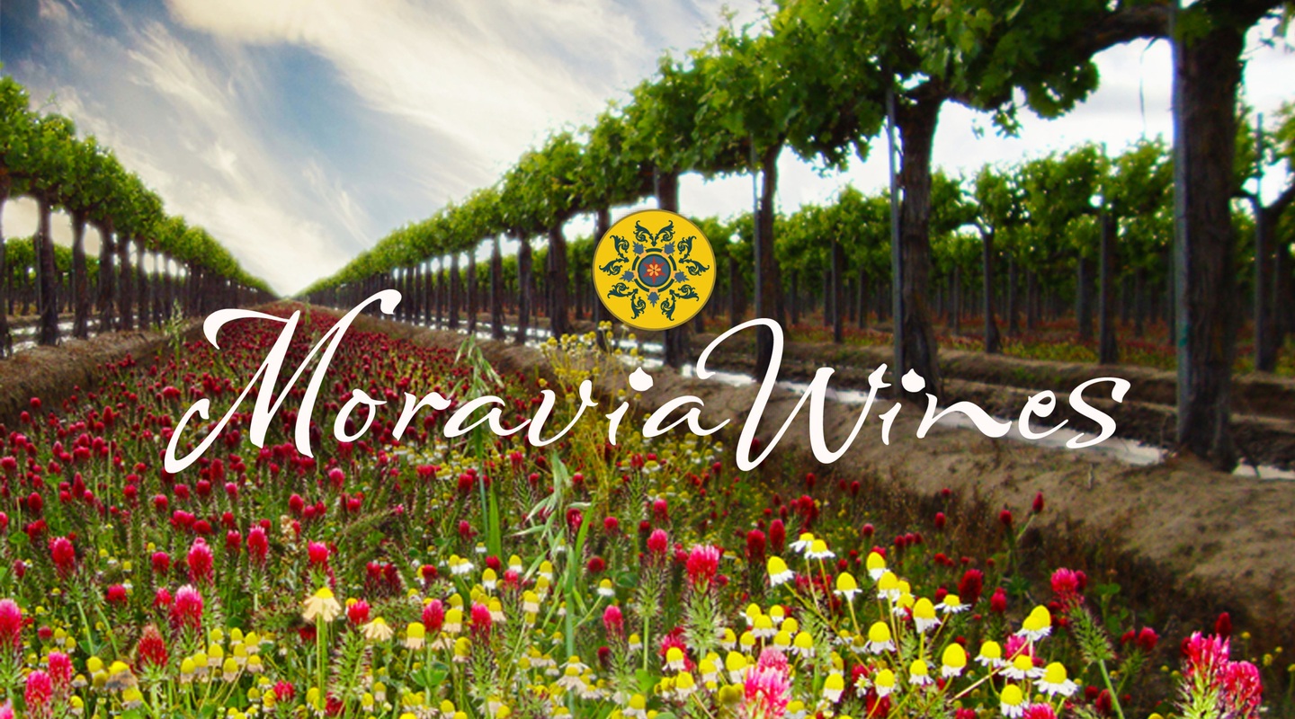 Moravia Wines | Home
