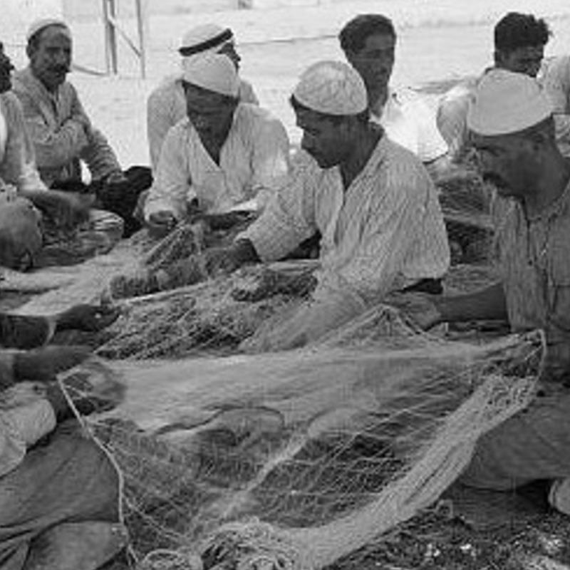Rural Shepherds Network | Mending Nets