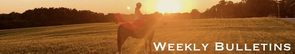 Ringgold Baptist Church | Weekly Bulletins