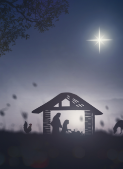 Lititz Trinity | Christmas 2022