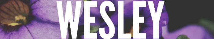 Wesley Foundation at Tarleton State University | Welcome