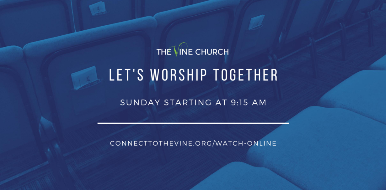 The Vine Church | Home