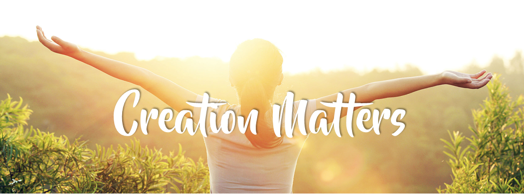 Christian Creation Apologetics | Home
