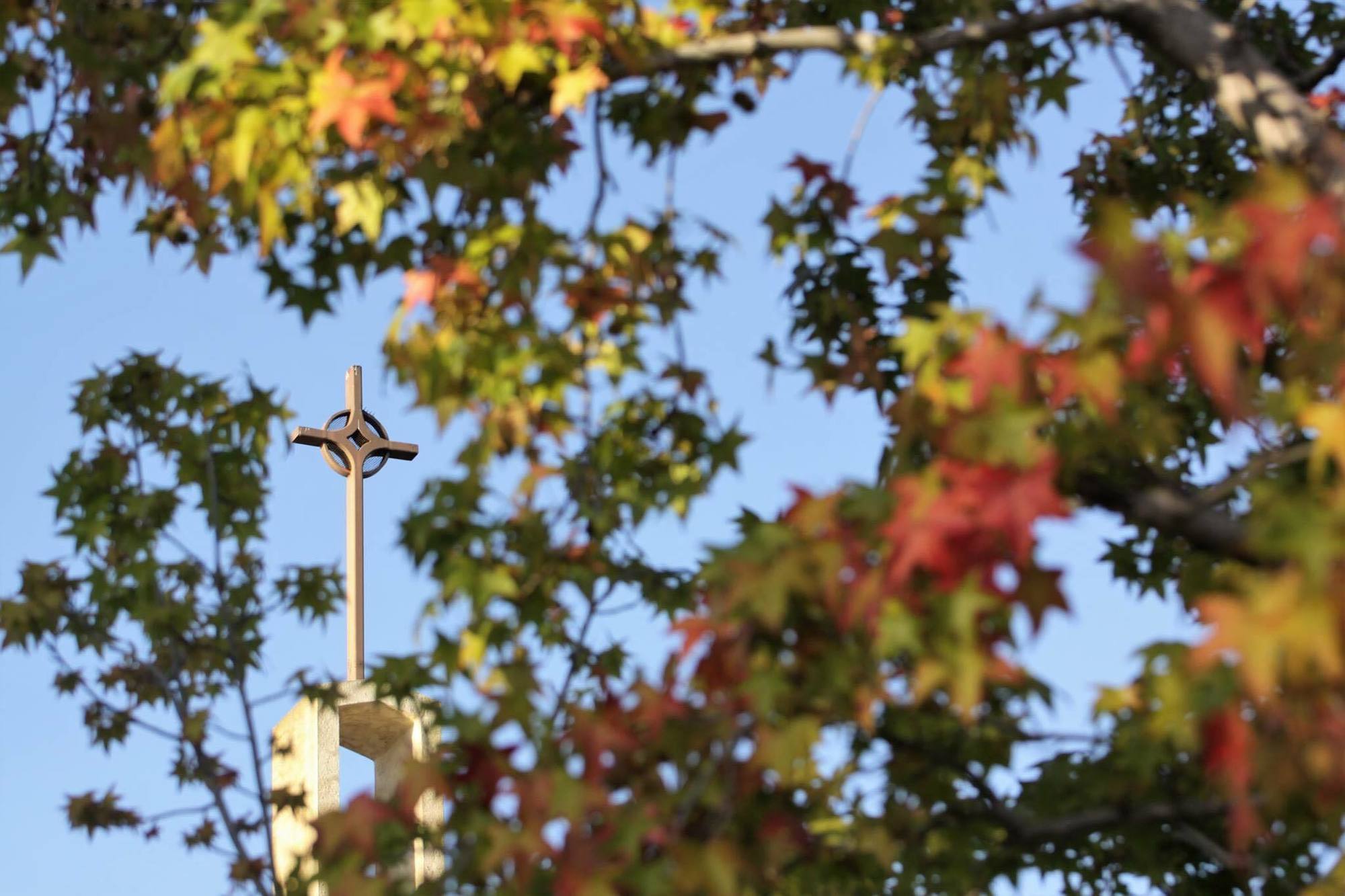 Tierrasanta Lutheran Church | Membership