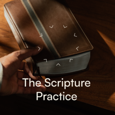 North Creek Presbyterian Church | Practicing the Way