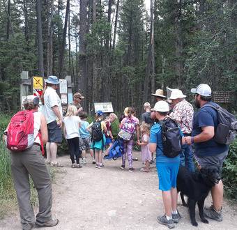 Swan Chapel | Summer Times