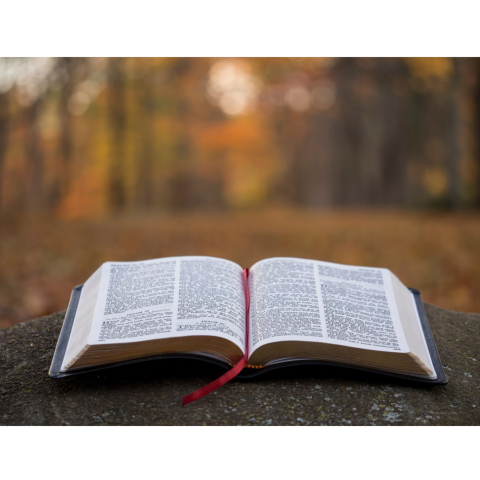 Peninsula Grace Church | Our Beliefs