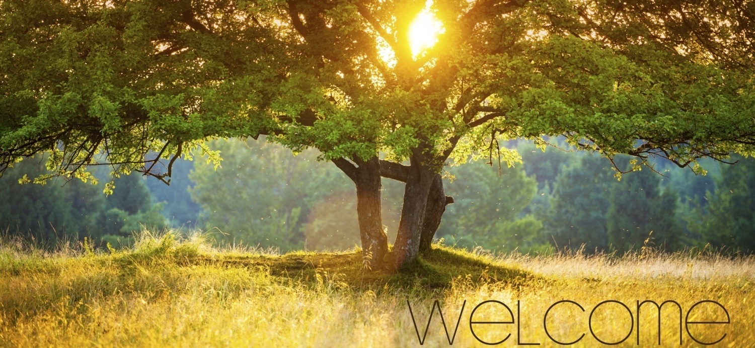 the LB - Lutheran Brethren Fellowship Church | WELCOME