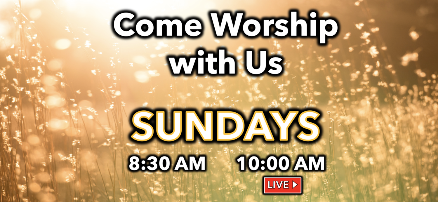 Springfield Bible Church | Home