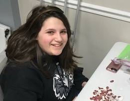 Springfield Bible Church | Sundays