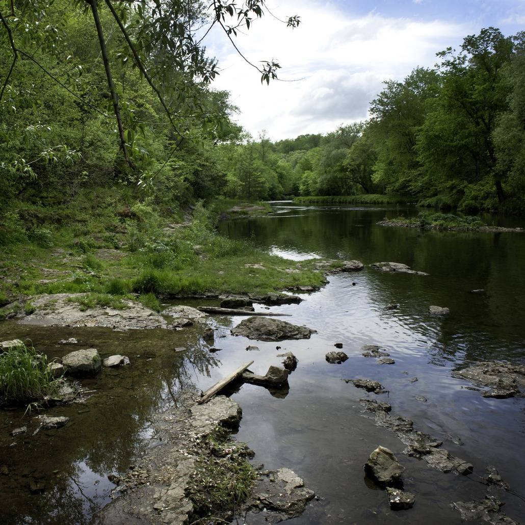 Luther Memorial Church | LMC Serves the C4