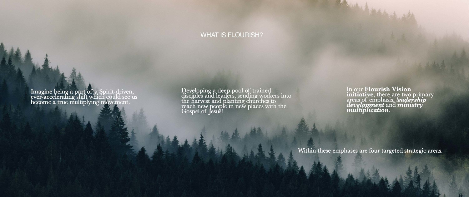 Pacific Open Bible | Flourish