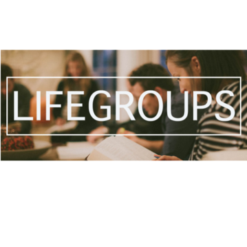 Mountain View Fellowship | LifeGroup Directory