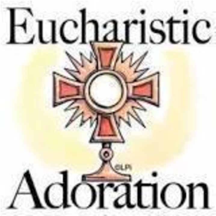 St. Francis of Assisi Catholic Church | Adoration Sign-Up