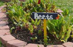 Houston Health Foundation | Who We Are