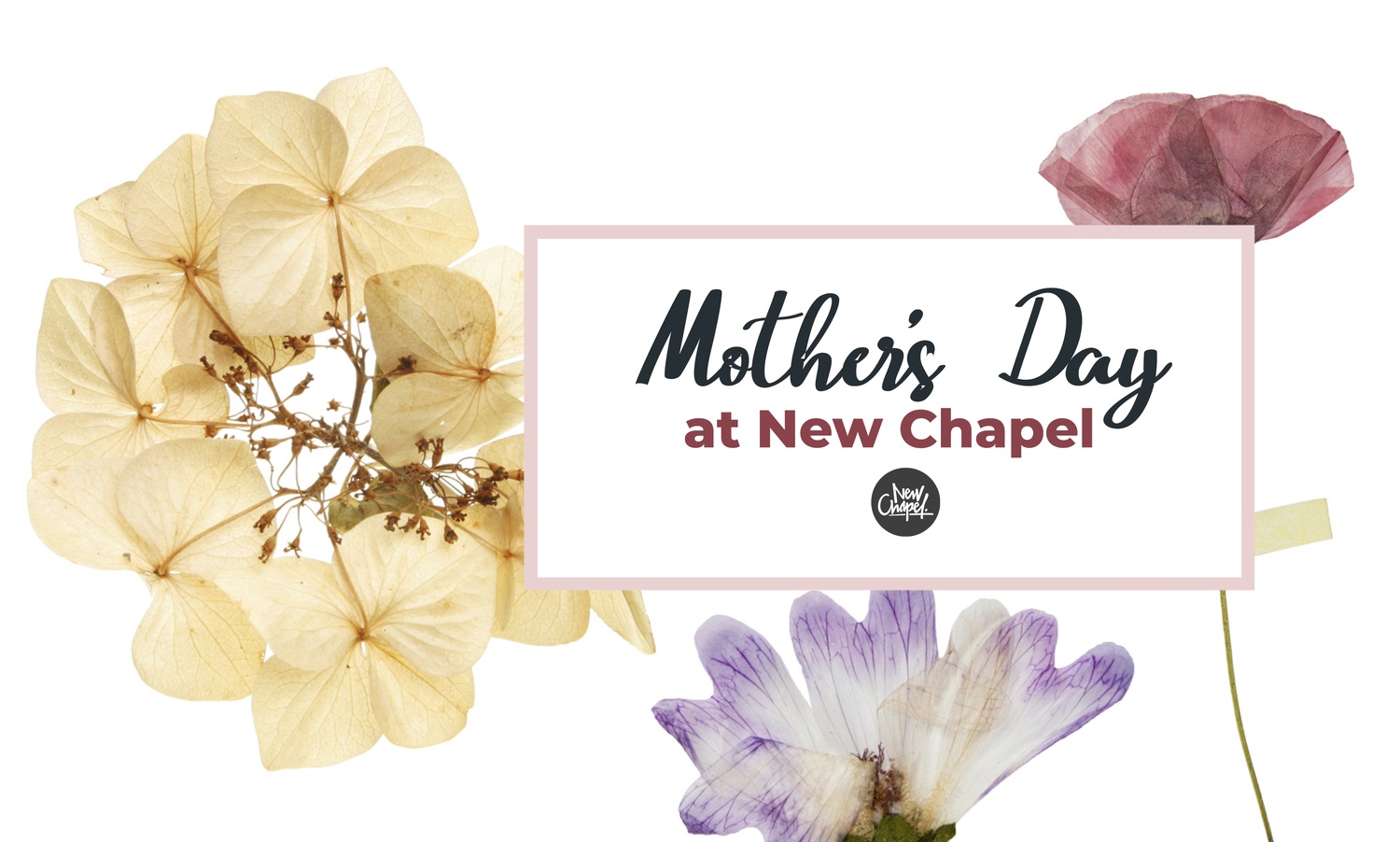 New Chapel serves the Grand Rapids metro: Alpine Township, Comstock