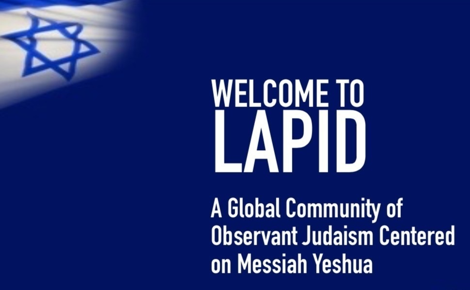 Lapid | Home