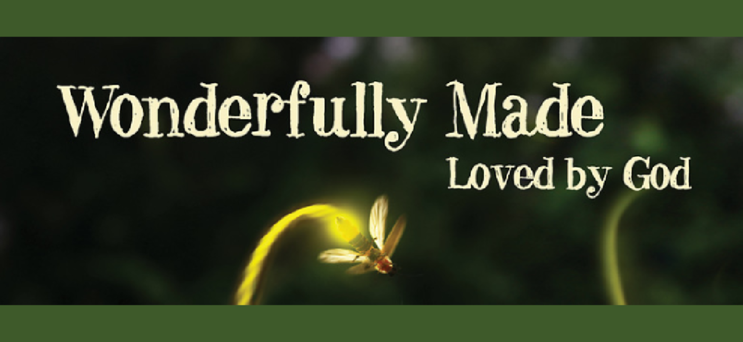 Arlington Heights United Methodist Church | Wonderfully Made