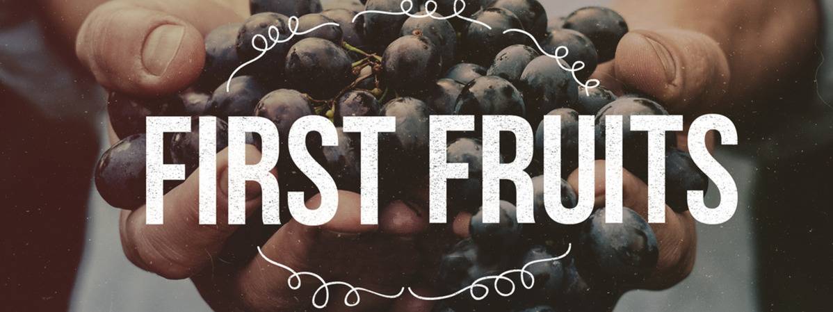 Freedom Fellowship Church | About Us