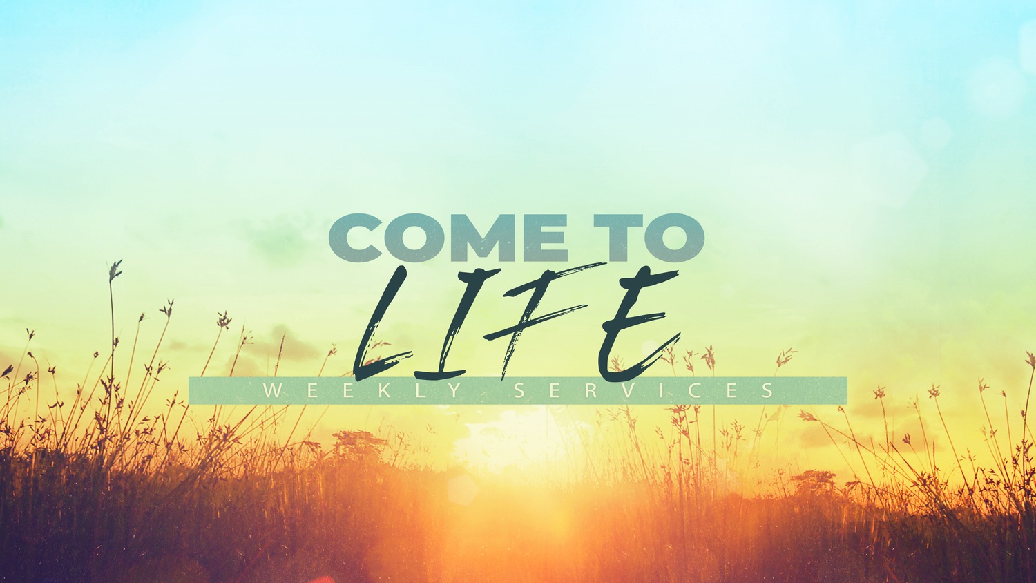 Life Church | HOME