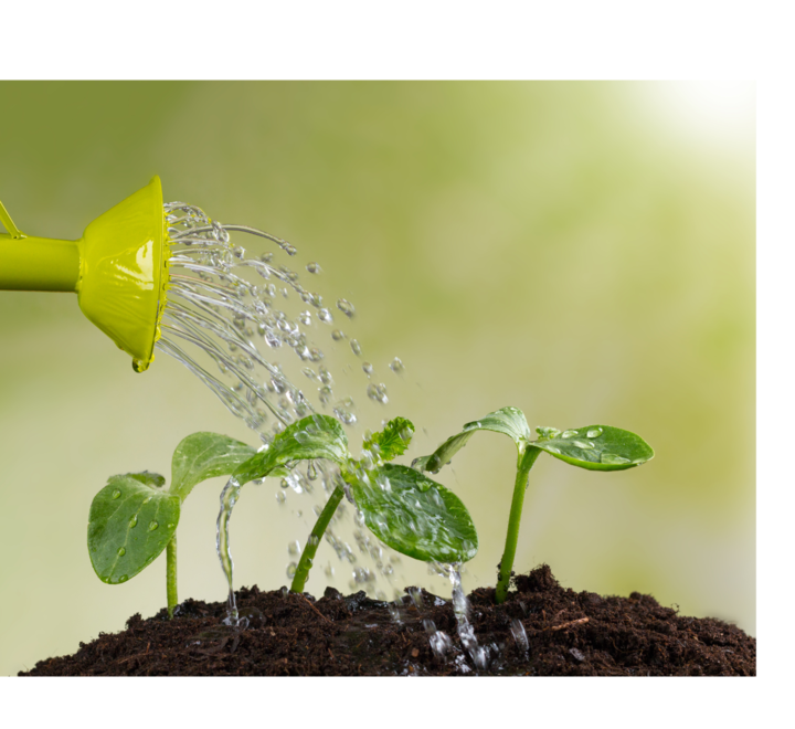 Lampeter Church of the Brethren | Home