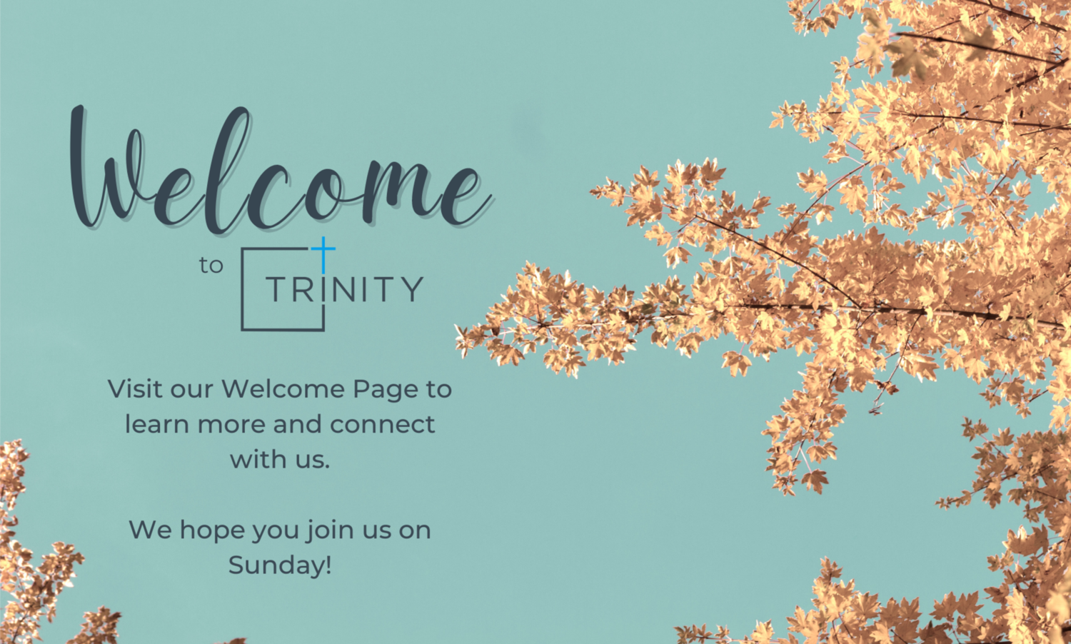 Trinity Baptist Church | Home