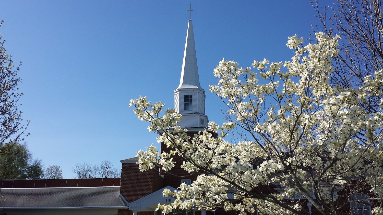 Blue Ridge Presbyterian Church | Home