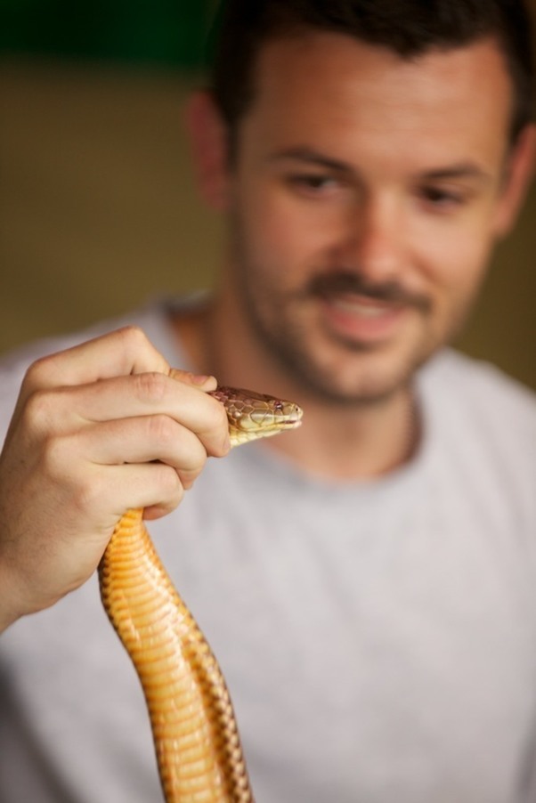 John Mostyn Venomous Snake Training | Venomous Snake Courses