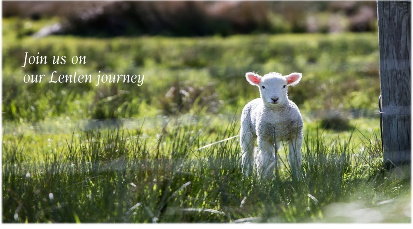 Courthouse Community UMC | Home