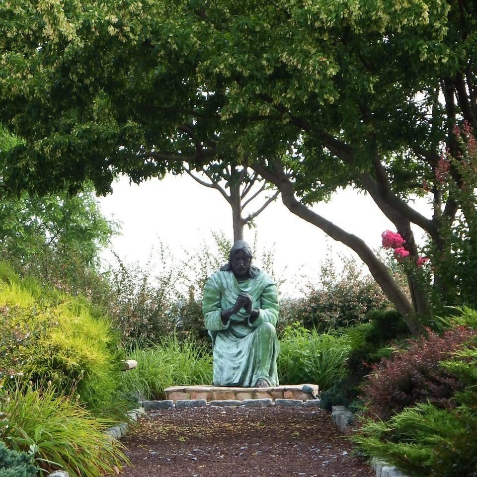 West Green Tree Church of the Brethren | WORSHIP