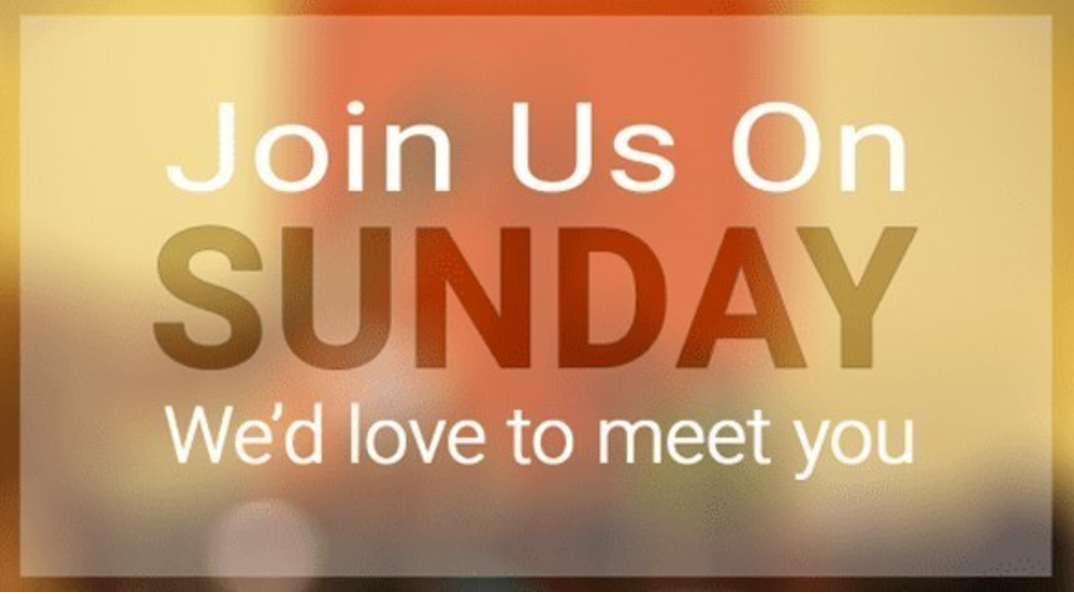 NEW BRIDGE BAPTIST CHURCH | What to Expect & Next Steps