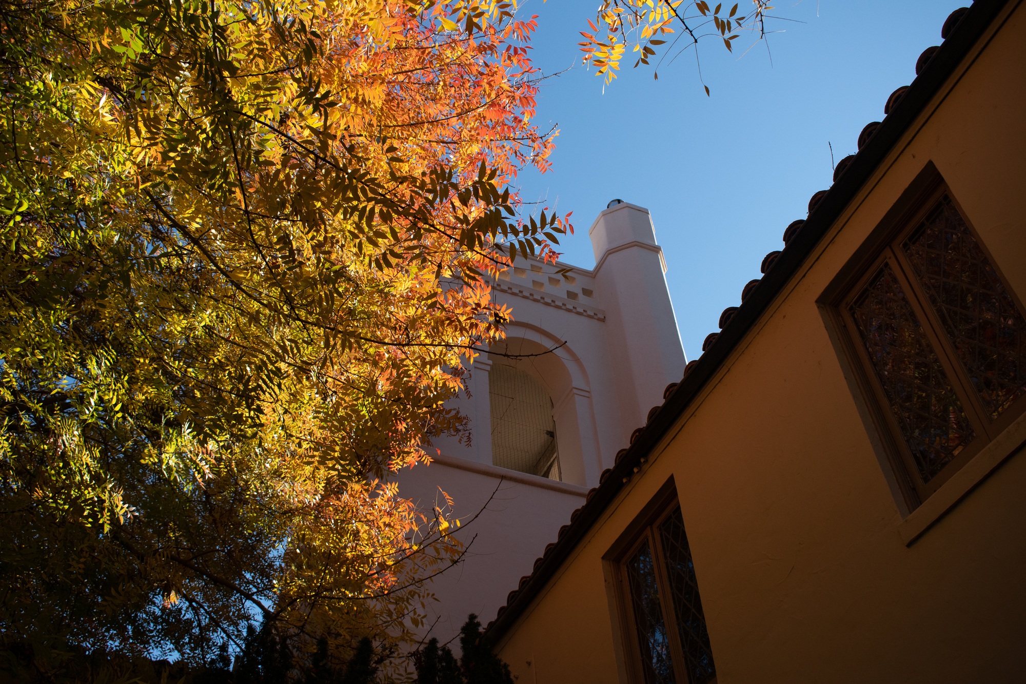 Davis Community Church | What to Expect