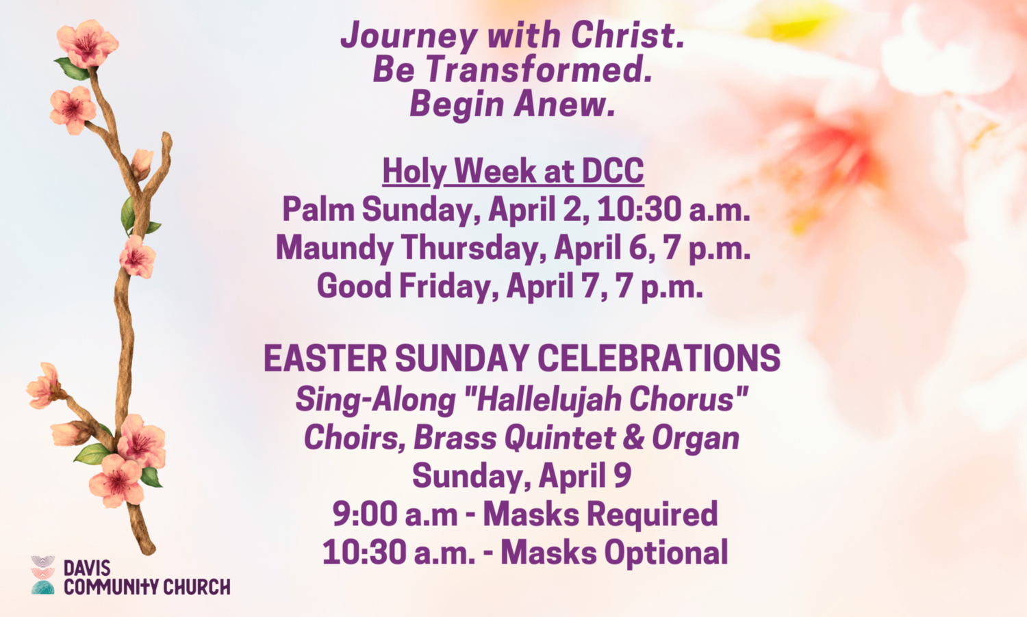 Davis Community Church | I'm New