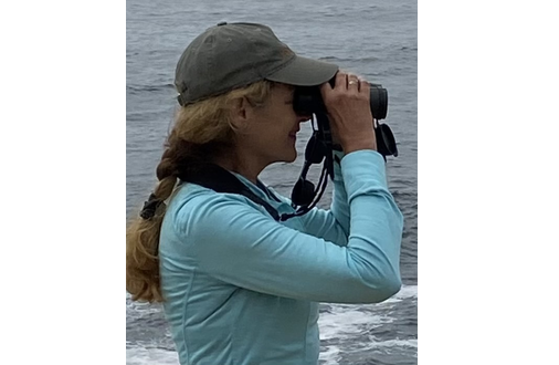 Davis Community Church | Leadership