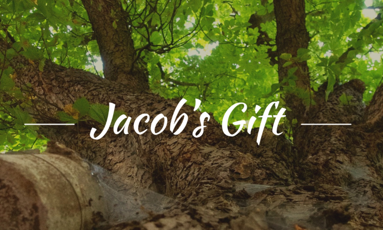 Jacob's Gift | Home