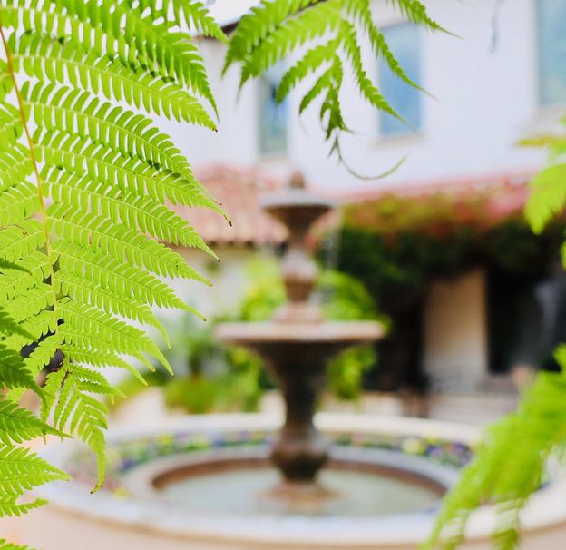 Redlands Adventist Church | Our Mission & Values