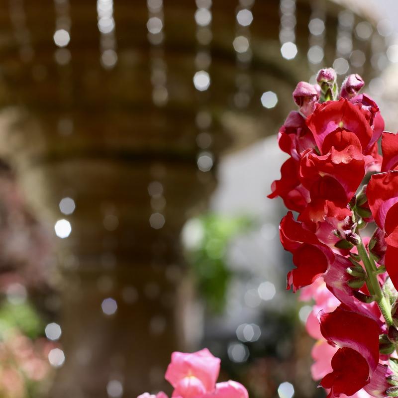 Redlands Adventist Church | Our Mission & Values