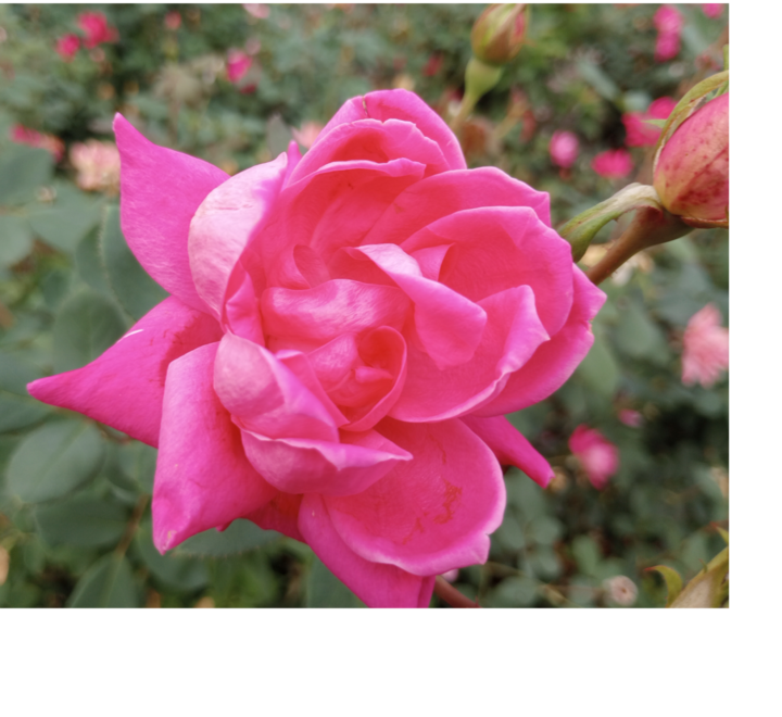 Crossroads QC | Home