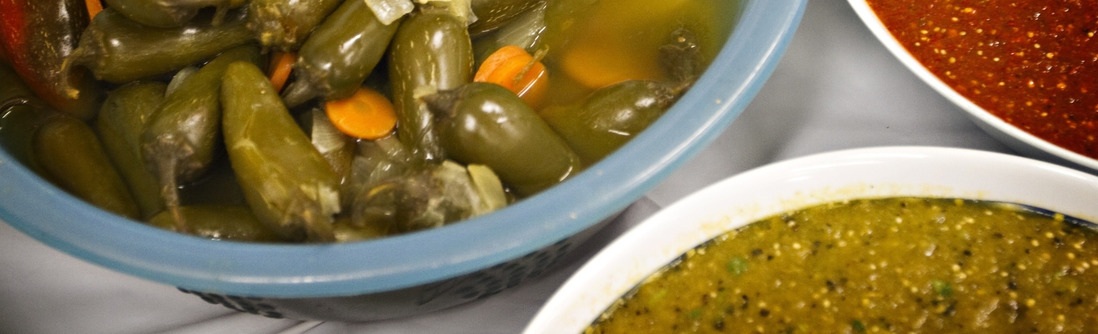 Saint Irenaeus Catholic Church | Ministries