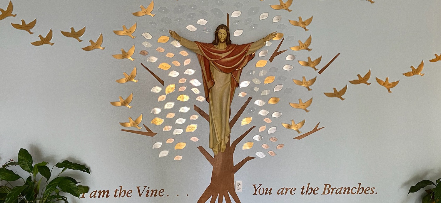 Our Lady of Grace Catholic Church | TREE OF LIFE