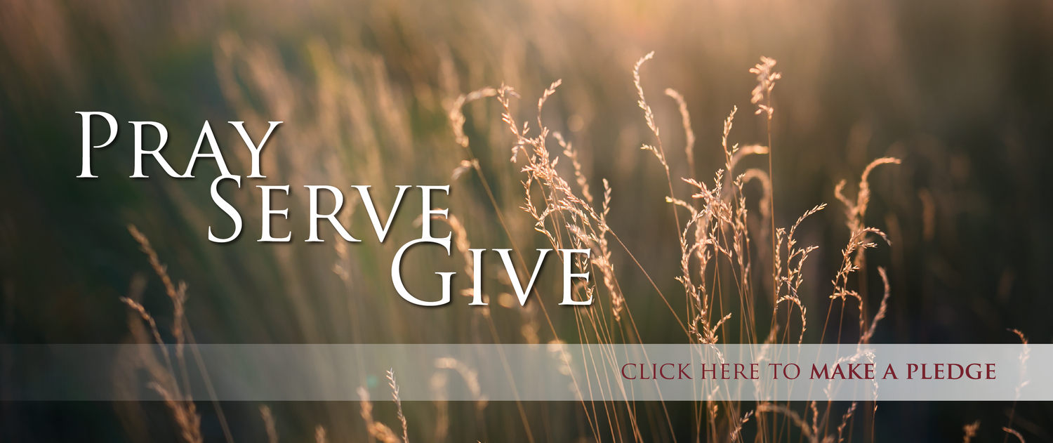 All Saints Parish | Home