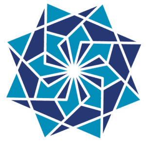 MoLo Solutions | DFM DATA CORP.