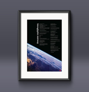 Hieroglyphic Stairway - Poetry Poster - Drew Dellinger