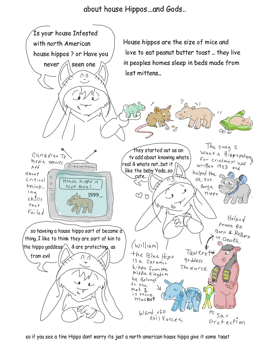 how to be homeless on The Duck : hippos and gods