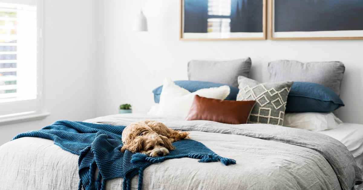 Student's Login for The Interior Design Institute, Singapore