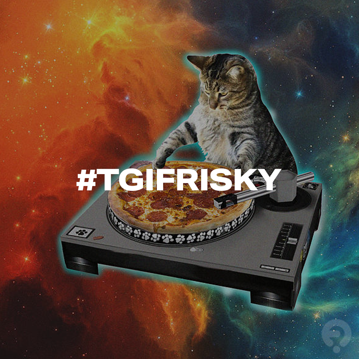 FRISKY | TGIFRISKY