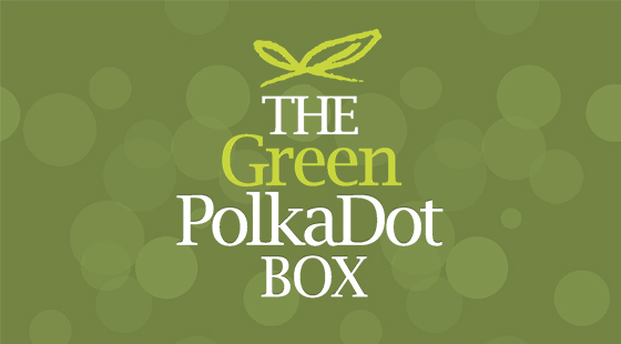 Green PolkaDot Box | Fundable - Crowdfunding for Small Businesses