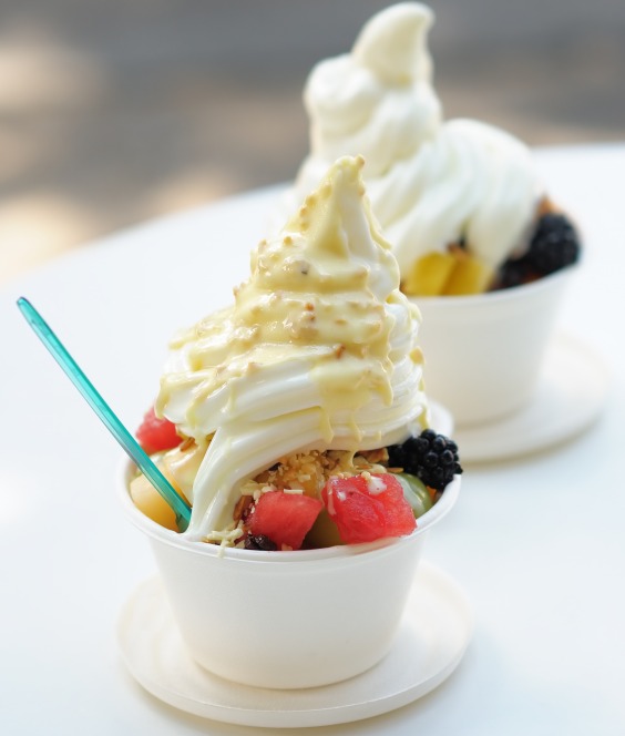 Down with the Swirl | Fundable - Crowdfunding for Small Businesses
